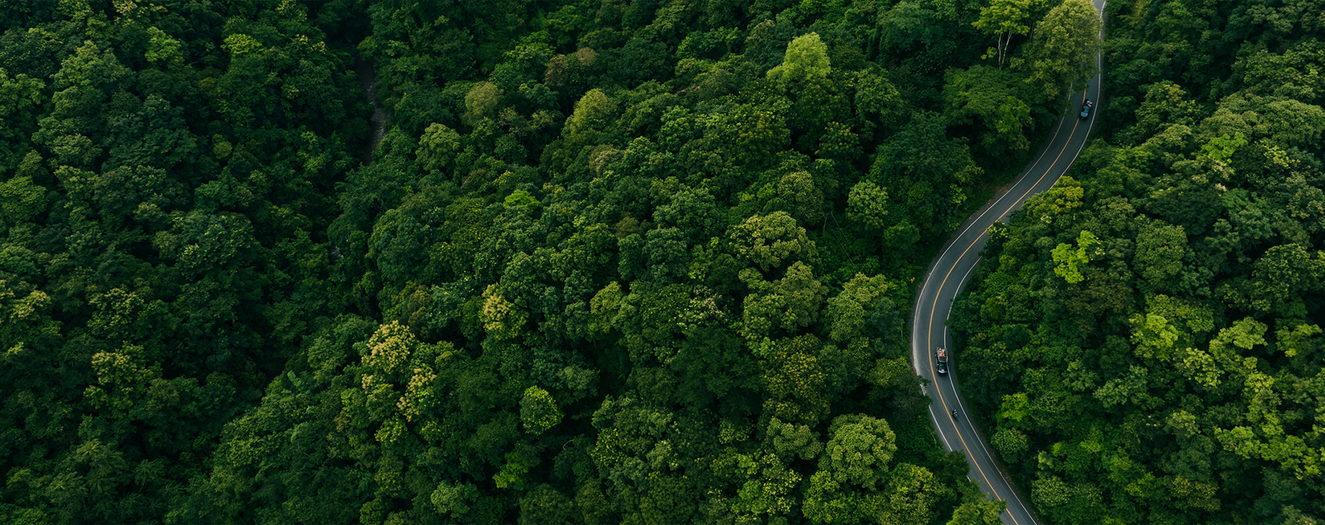 ECO-governance_Sailun Group Co., Ltd.